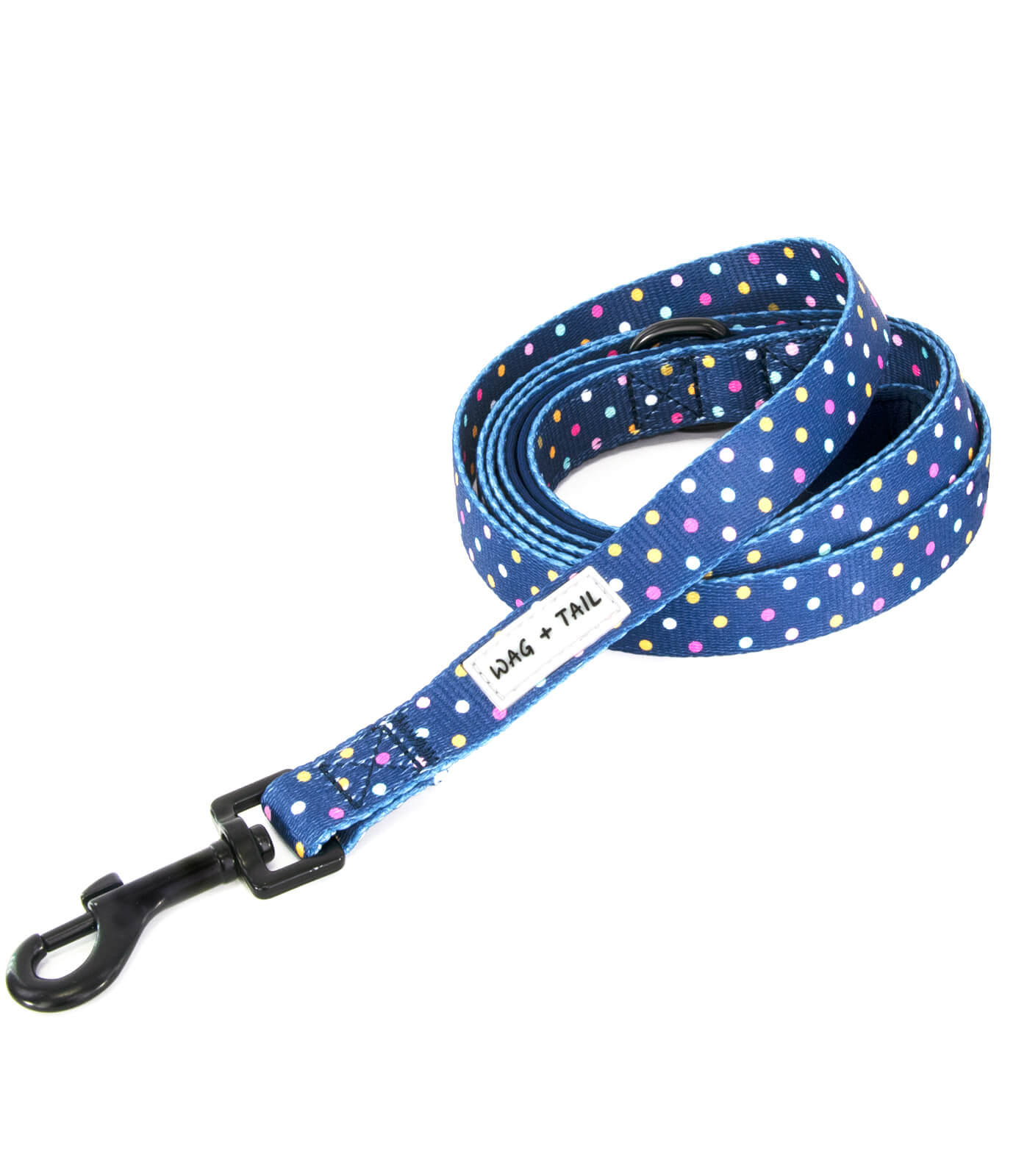 Dog Leash - Confetti Cannon – Wag + Tail